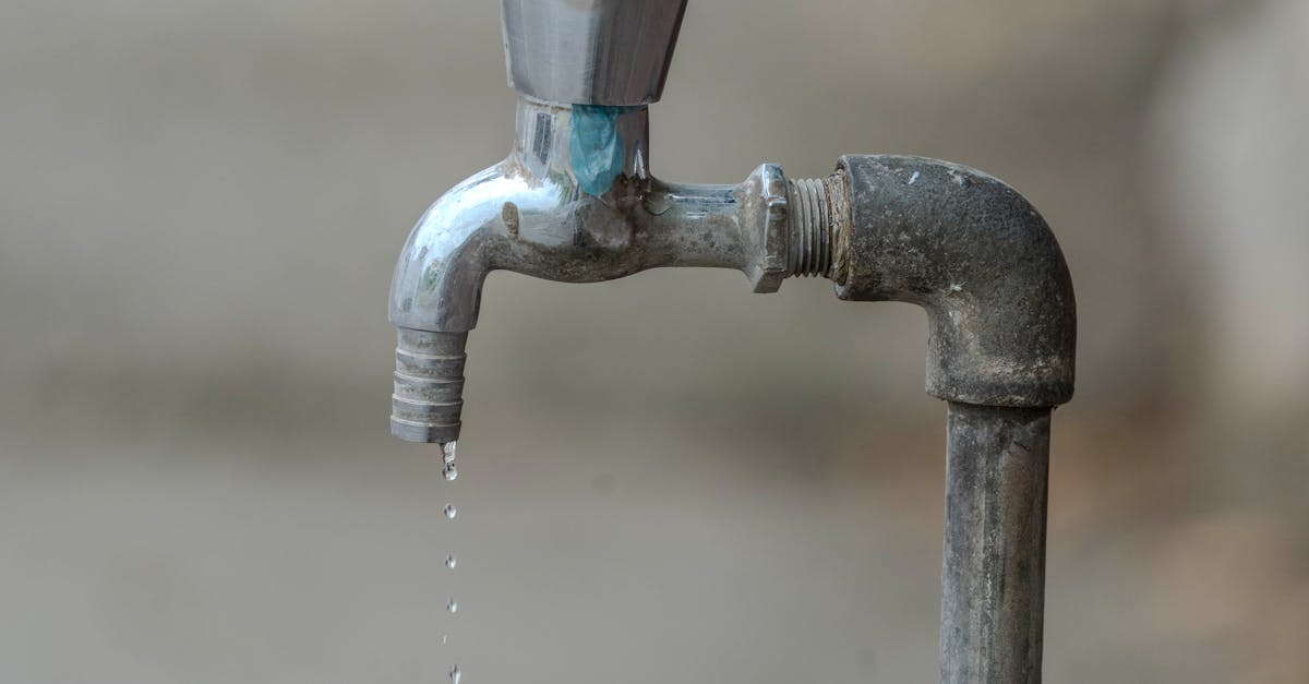 Plumbing Fixture Maintenance Checklist: Essential Tips to Prevent ...